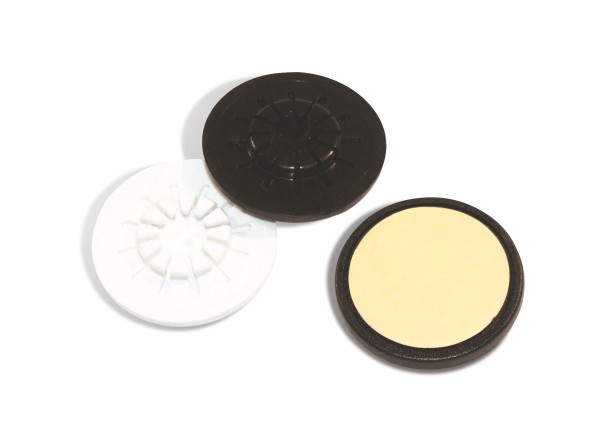 CD Spiders - Clear - Ashgrove