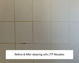 HOW TO REMOVE BLACK MILDEW MARKS AND ORANGE STAINS - Tile Cleaning ...