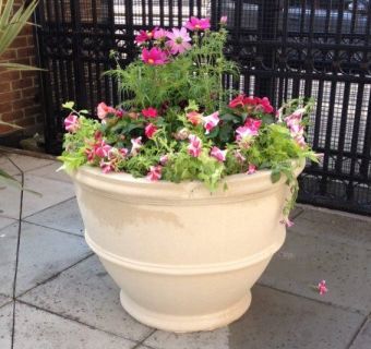 Roman Planter - Tor Stone